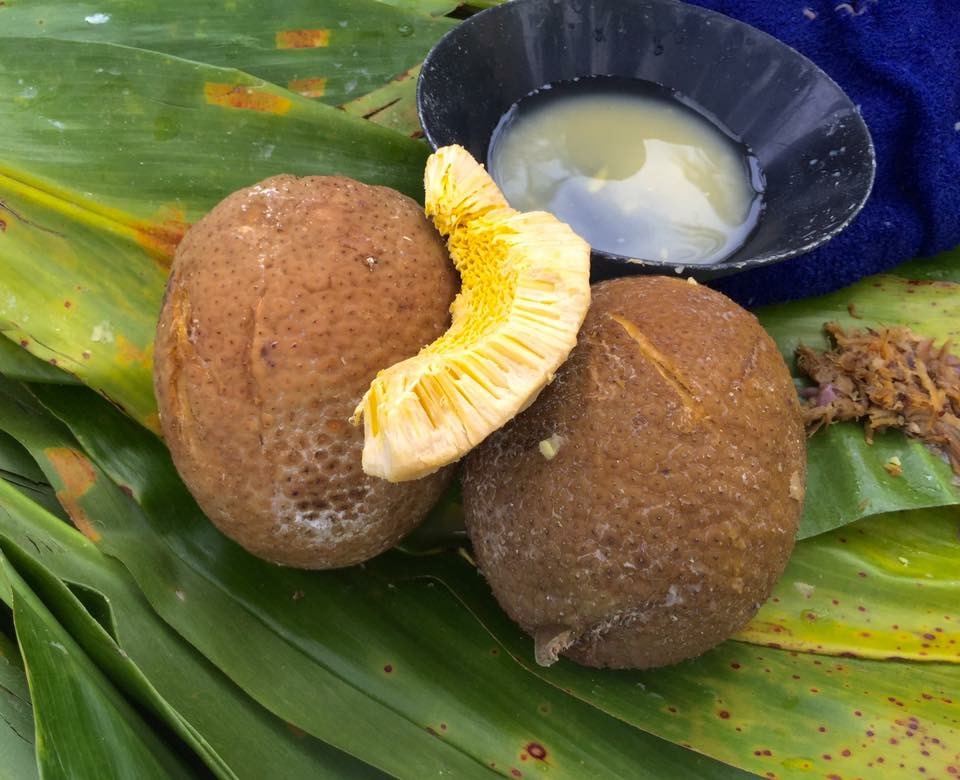 What Can I Do to Overcome Isolation, Seasonal Affective Disorder (SAD ...